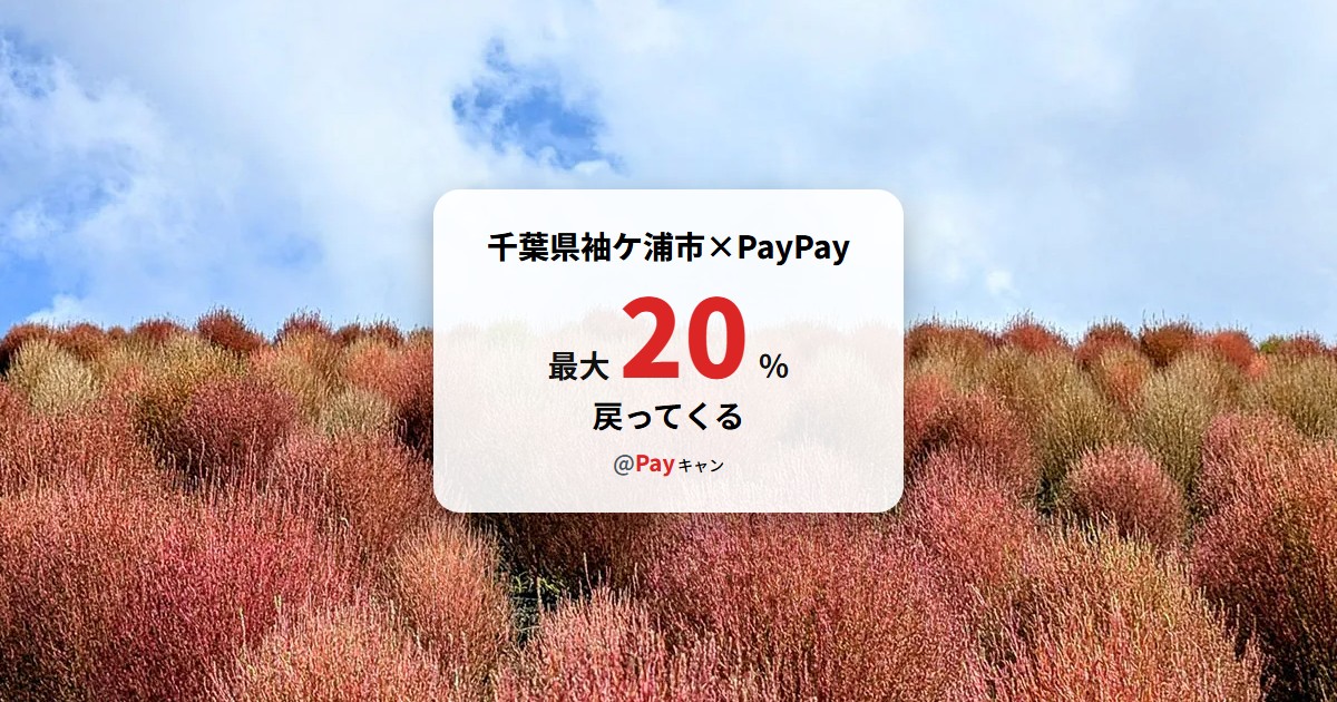 袖ケ浦市のPayPay20％還元対象店舗一覧｜2025年最新キャンペーン情報-Payキャン