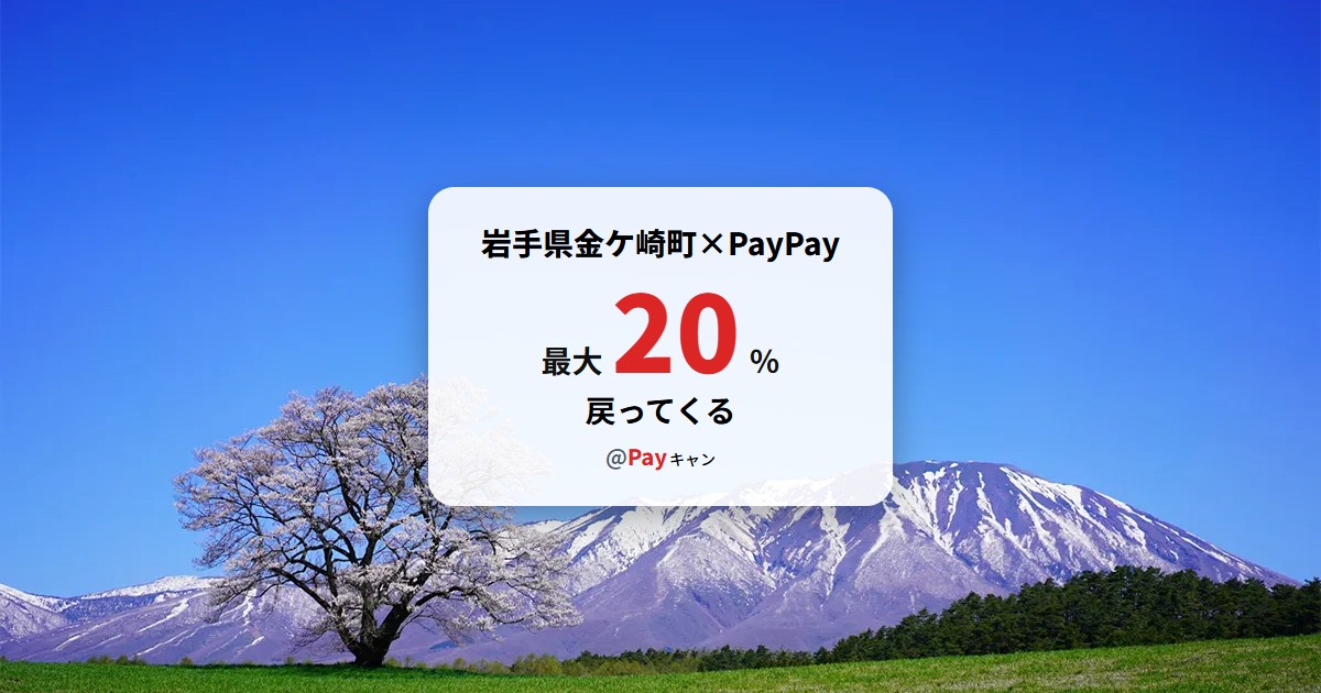 金ケ崎町のPayPay20％還元対象店舗一覧｜2025年最新キャンペーン情報-Payキャン